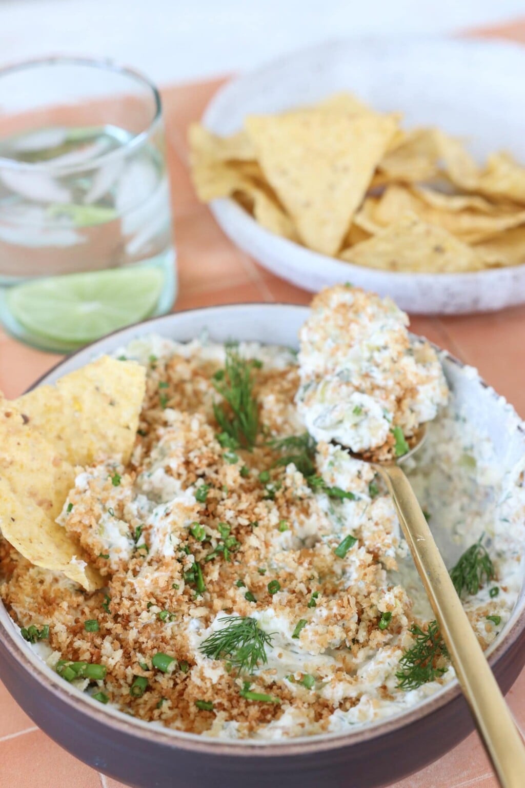 Seriously Good "Fried" Pickle Dip with Greek Yogurt - Lindsay Pleskot, RD