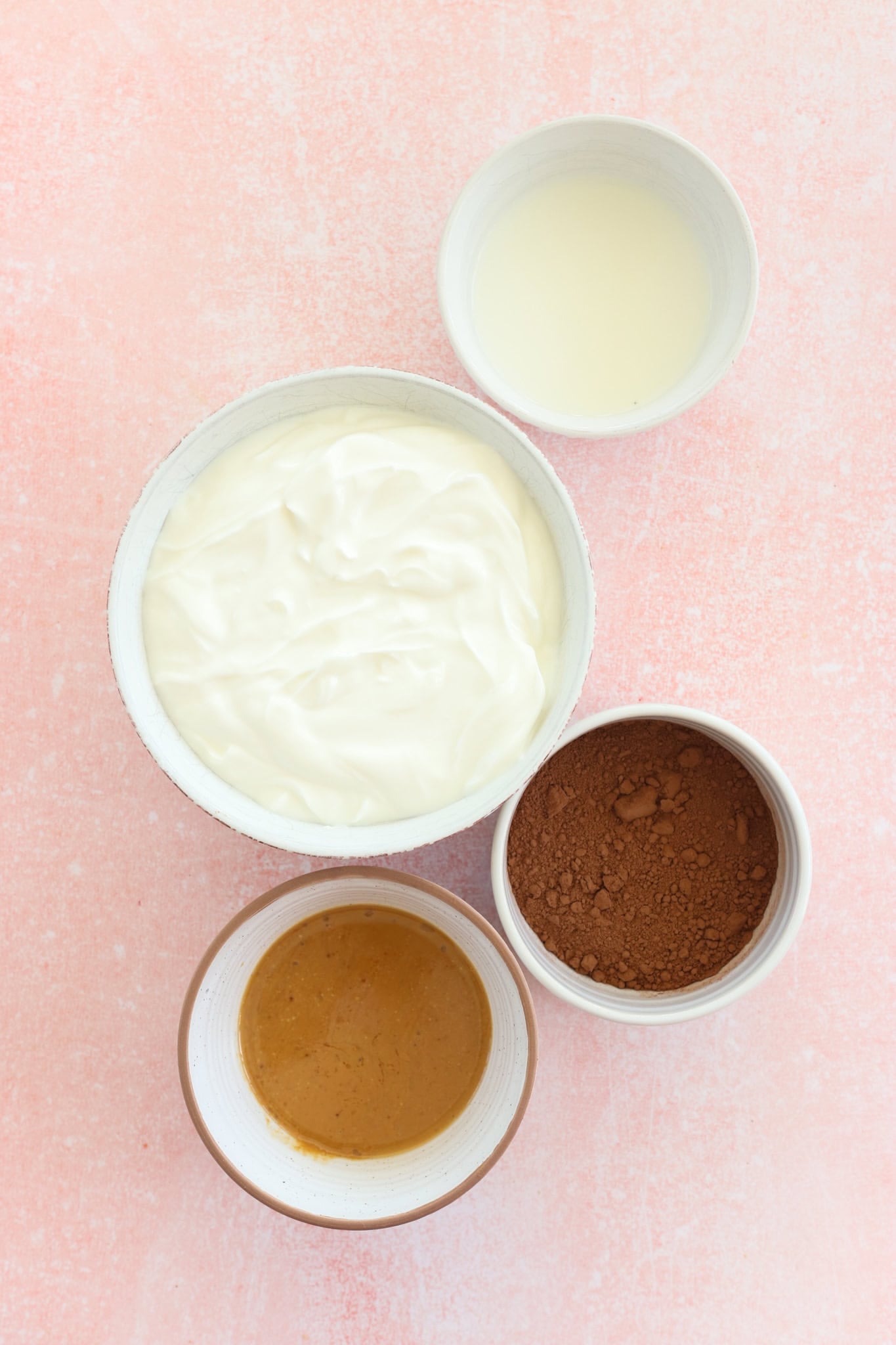 Chocolate-PB Fudge Pops with Greek Yogurt - Lindsay Pleskot, RD